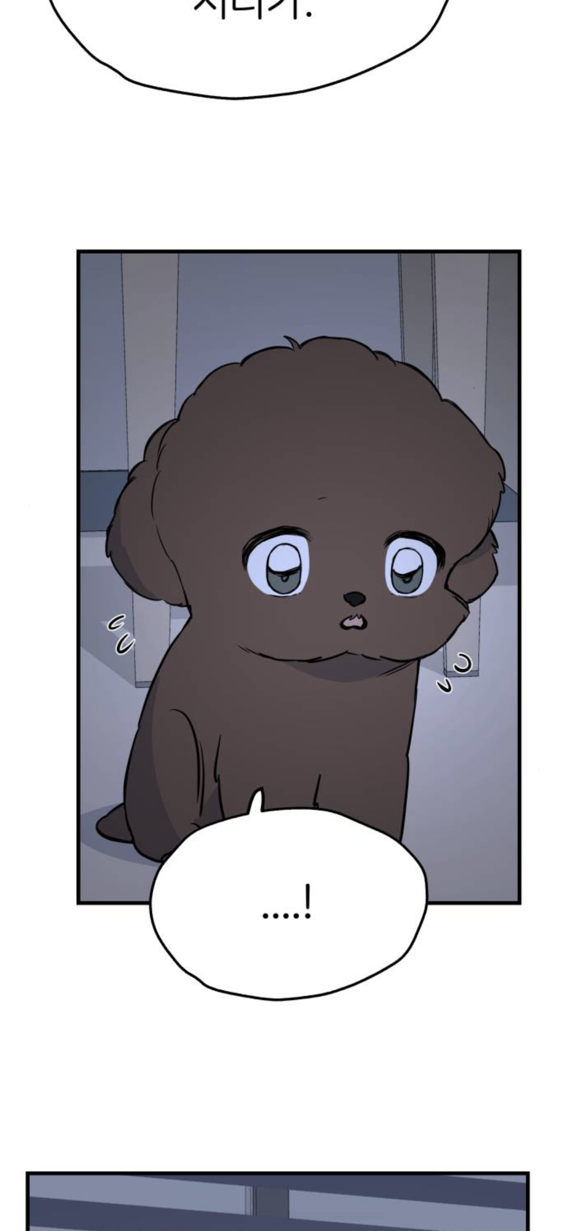 투디갤 - 웹툰 - 강아지 좋아하거나 견주펭들은 필독