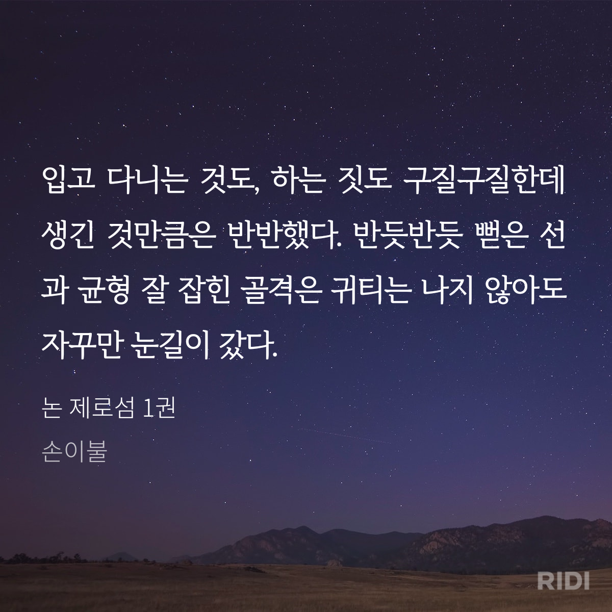 투디갤 소설 논제로섬 수 외모묘사 긁어왔다
