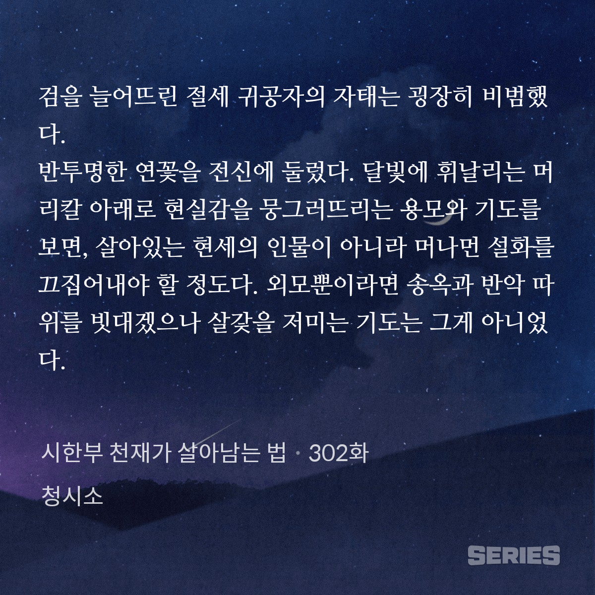 투디갤 소설 시천살 정연신 외모묘사는 레전드다 진짜